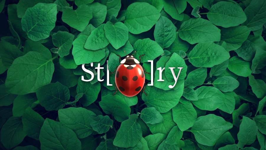 How to Add Ecommerce To Website: Step-by-step Guide - CanhCam