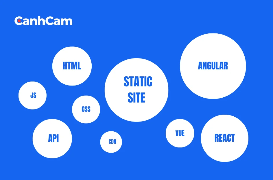 What is a Dynamic Website Design? A Journey into Knowledge and Building ...