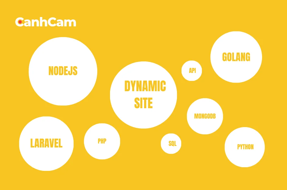 What is a Dynamic Website Design? A Journey into Knowledge and Building ...