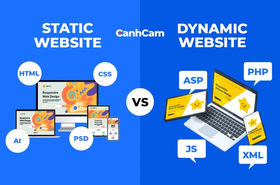 Dynamic Website Design: The Difference between Static Site vs. Dynamic ...